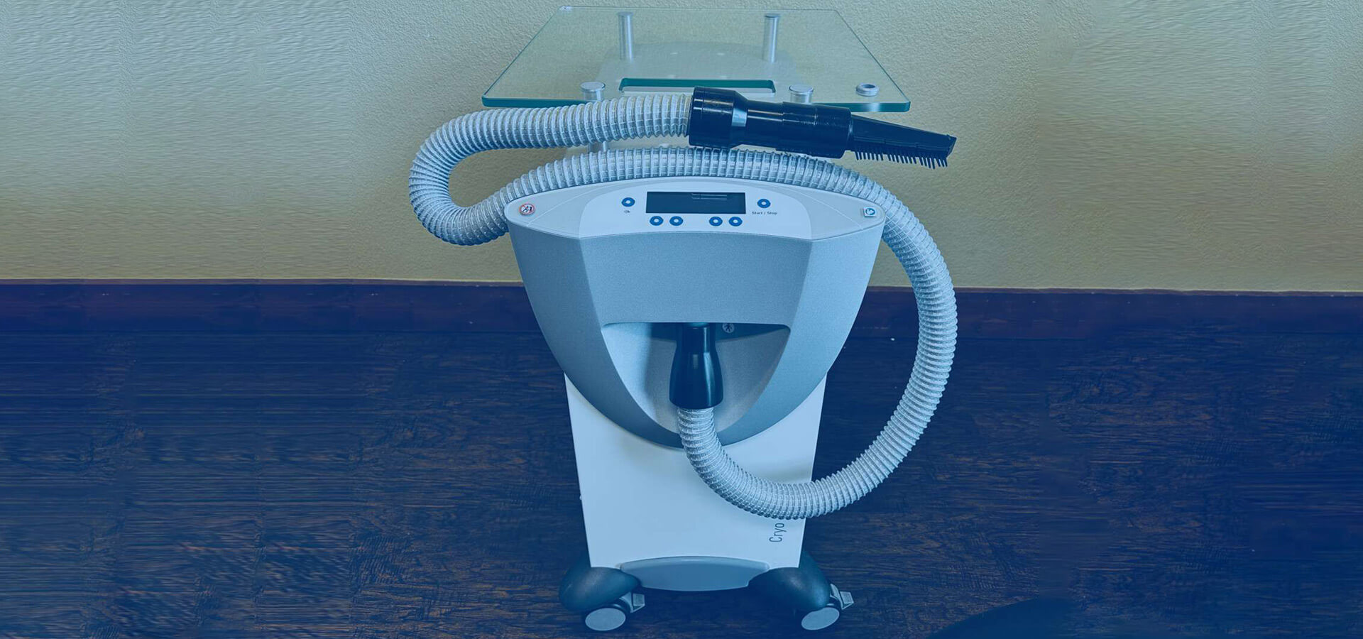 Why Choose Our Lice Removal Clinic Near You?